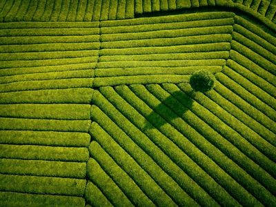 Tech and Net Zero Conference 2023