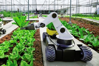 Seizing the robotics opportunity
